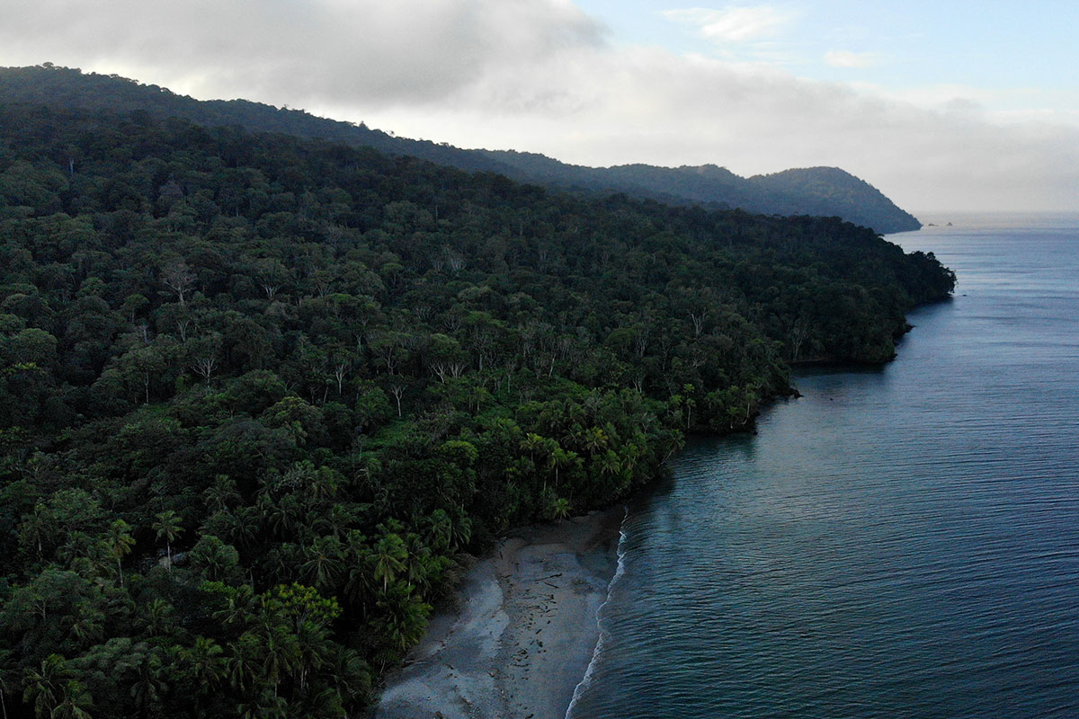 Especial Gorgona Belleza y Libertad Escritorio